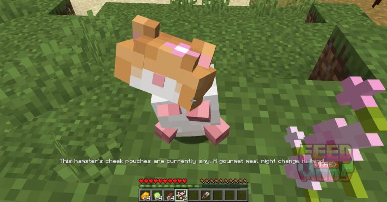 Adorable Hamster Pets Mod (1.21.1, 1.20.1) | Adorable Little Pets