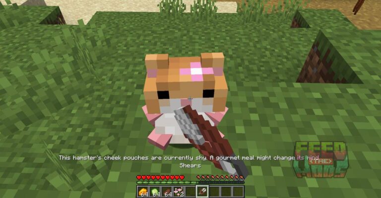 Adorable Hamster Pets Mod (1.21.1, 1.20.1) | Adorable Little Pets